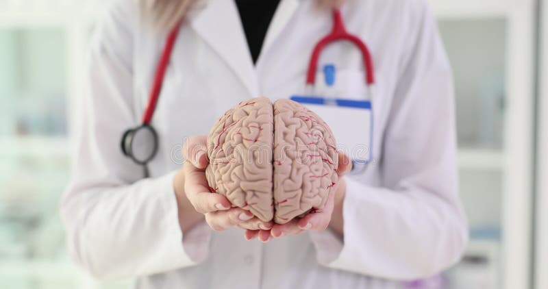 Neurologist Shows Brain Anatomy on Human Model and Brain Lesion Stock ...