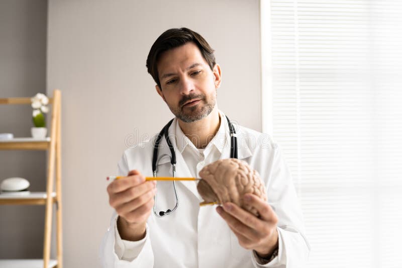 Neurologista Ou Neurologista, Explicando Foto de Stock - Imagem de ...
