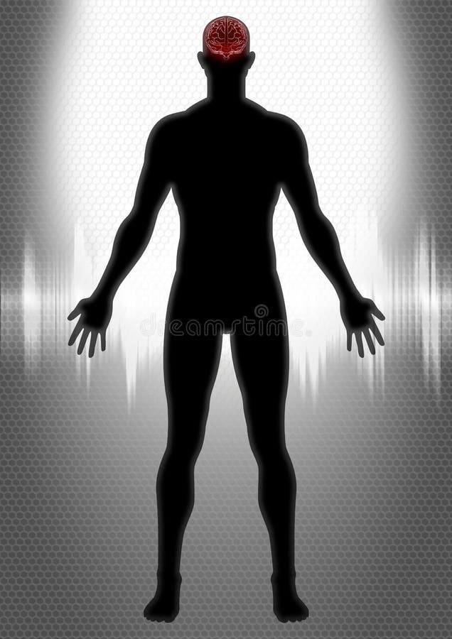 Neurology stock image. Image of nervous, health, figure - 19171821