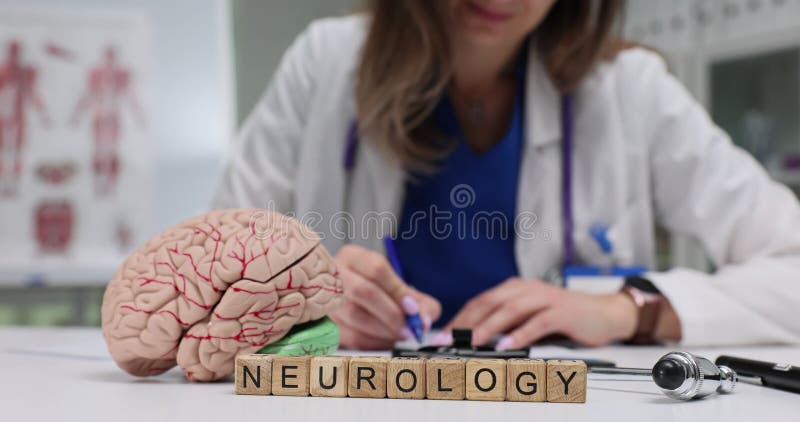 Neurology Professional Using a Detailed Brain Model for Better ...