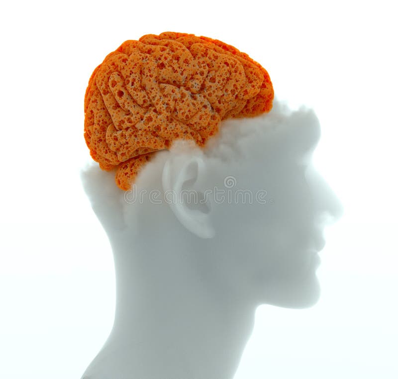 Neurology, Philosophy, the Development of Thought and Reflection. Brain ...