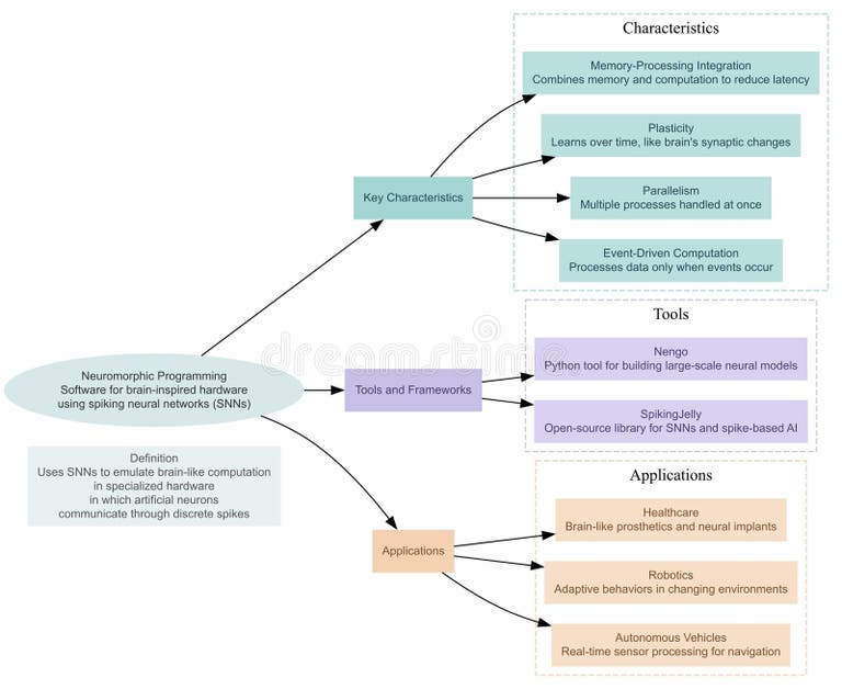 Neuromorphic Programming: Harnessing Brain-Inspired Algorithms for Efficient AI Systems Stock ...