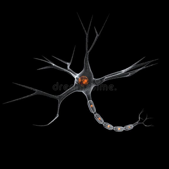 Black Neuron Stock Illustrations – 5,227 Black Neuron Stock ...