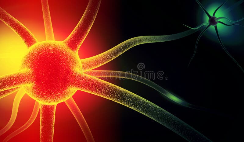 The active neuron cell stock illustration. Illustration of impulse ...