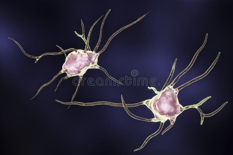 Neuron, brain cell stock illustration. Illustration of micro - 109254499