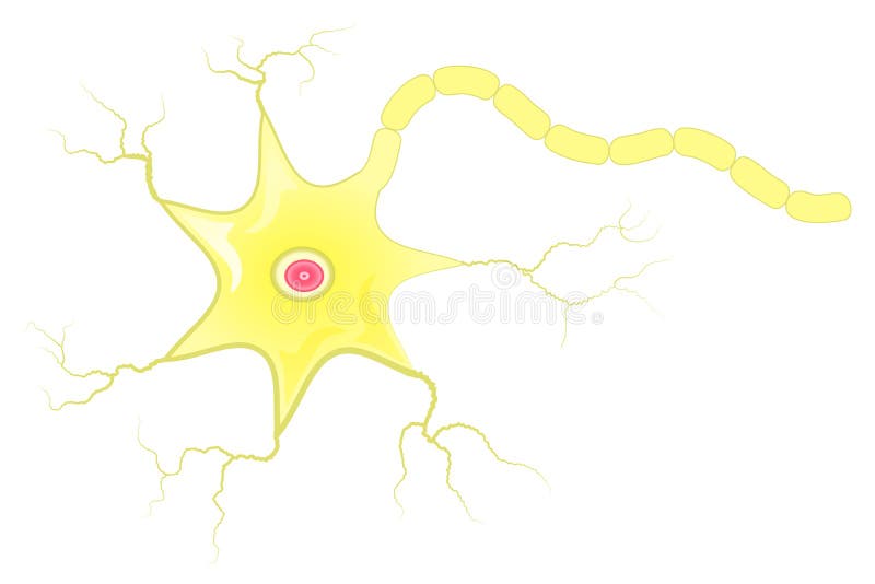 Neuron Cell with Axon Vector Illustration Stock Vector - Illustration ...