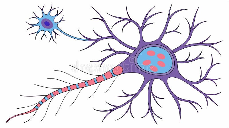Neuron Cell, Brain, Science, Biology, and Neural Network Vector Design ...