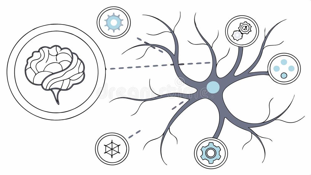 Neuron Cell Brain Network, Neuroscience, Cognitive Function, Neural ...