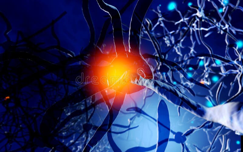 Neuron Cells Building a Neural Network Stock Illustration ...