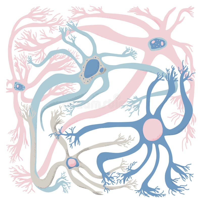 Neuron Cells. Vector Simple Design Illustartion Stock Vector ...