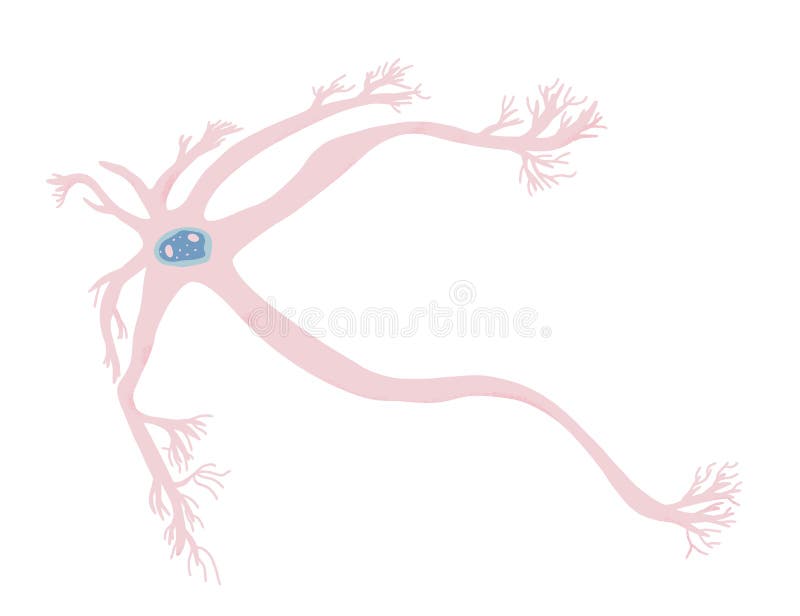 Neuron Cells. Vector Simple Design Illustartion Stock Vector ...