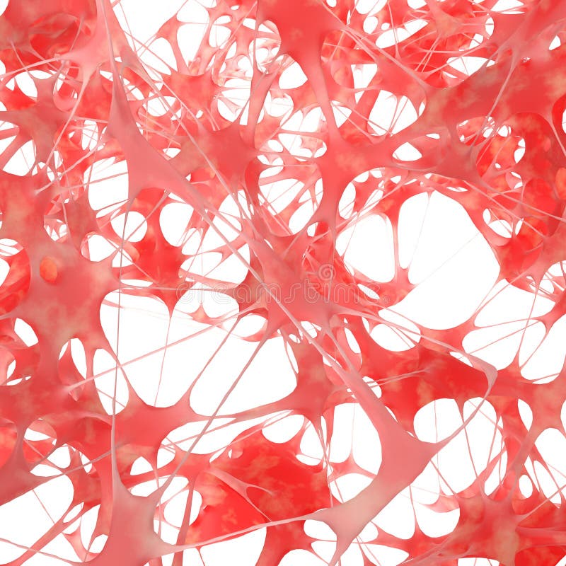 Neuron Cells Over White Background Stock Illustration - Illustration of ...