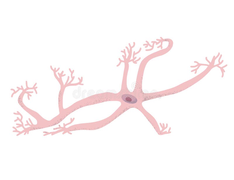 Neuron Cells. Vector Simple Design Illustartion Stock Vector ...