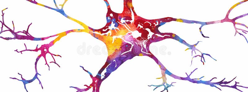 Neuron Colorful Watercolor Vector Illustration Stock Vector ...