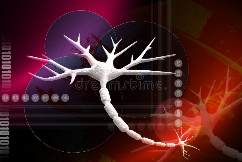 Neuron Black White Stock Illustrations – 1,314 Neuron Black White Stock ...
