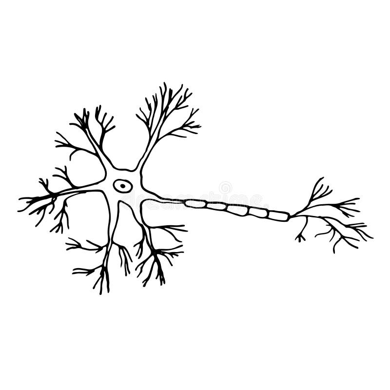 Neuron Cartoon Stock Illustrations – 888 Neuron Cartoon Stock ...