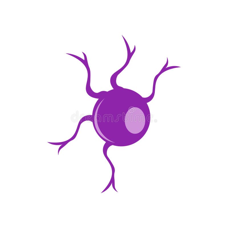 Neuron, nerve cell anatomy stock vector. Illustration of diagram - 92459813