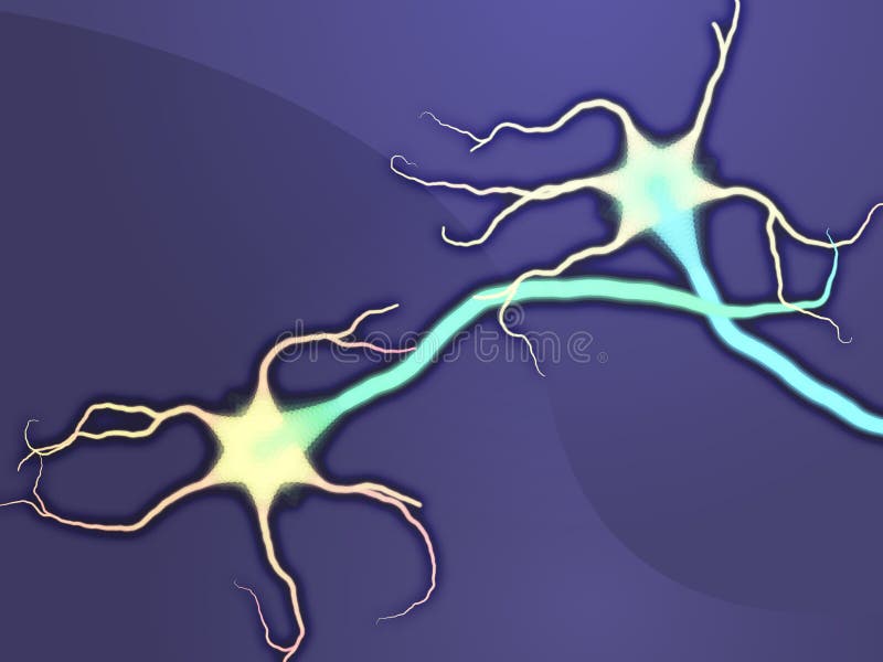 Real Nerve Cell