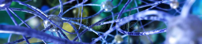 Neuron, Neural network stock illustration. Illustration of biology ...
