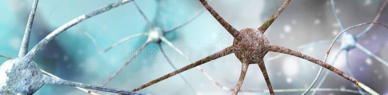 Neuron, Neural Network, Nerve Node, Nervous System, 3D Rendering Stock ...