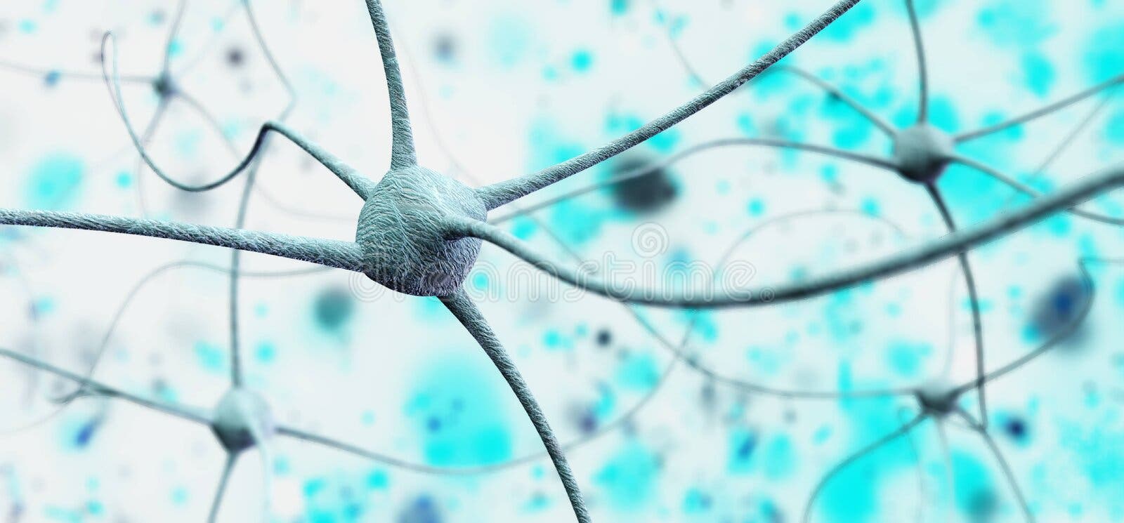 Neuron, Neural Network, Nerve Node, Stock Image - Image of signal ...