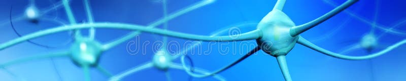 Neuron, Neural Network, Nerve Node, Stock Illustration - Illustration ...