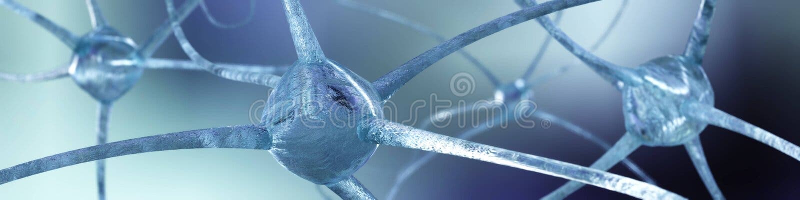 Neuron, Neural Network, Nerve Node, Stock Image - Image of signal ...