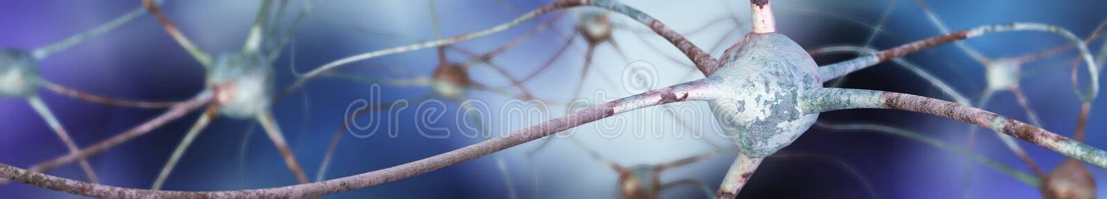 Neuron, Neural Network, Nerve Node, Stock Image - Image of signal ...