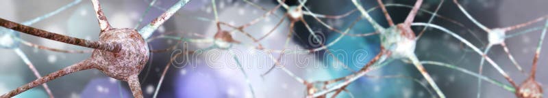 Neuron. Node And Node Connector In The Brain Networks Stock ...