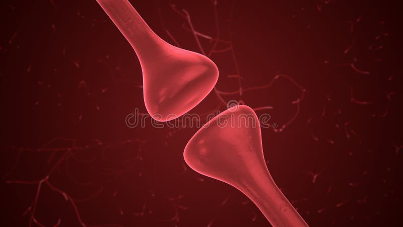 Neuron Receptor and Synapse Activity Stock Illustration - Illustration ...