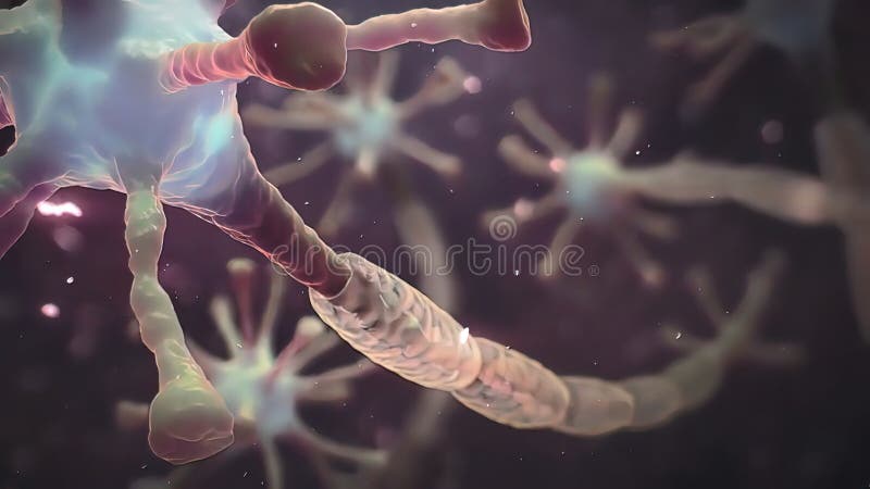 Cajal Stock Illustrations – 12 Cajal Stock Illustrations, Vectors ...