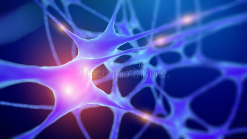 Human Neuron Structure and Anatomy Science Background. Exploring ...