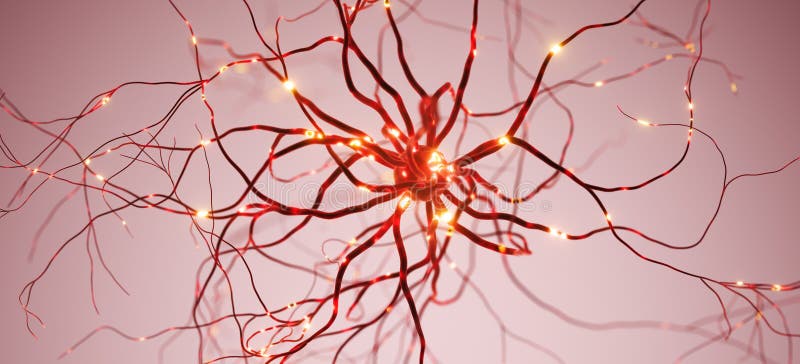 Neuron Synapse Connection - Microscopic View of Neural Network Stock ... Neuron Synapse Connection - Microscopic View of Neural Network Stock ...