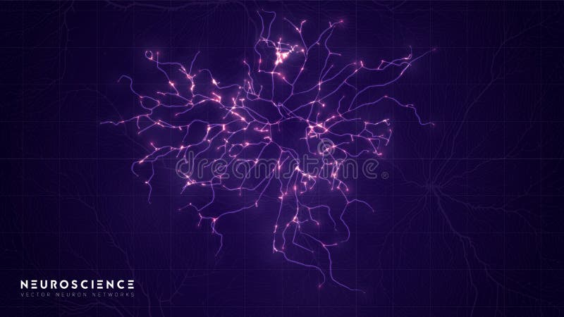 Neuron System Model. Neural Net Structure. Research of the Human Nerve ...