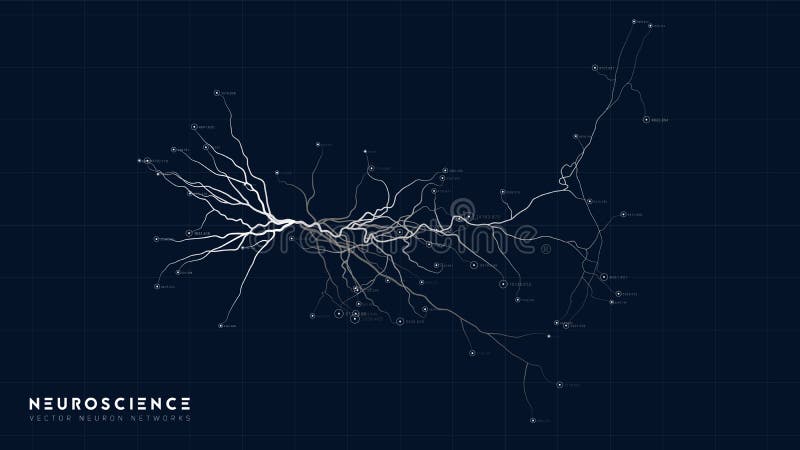 Neuron System Model. Neural Net Structure. Research of the Human Nerve ...