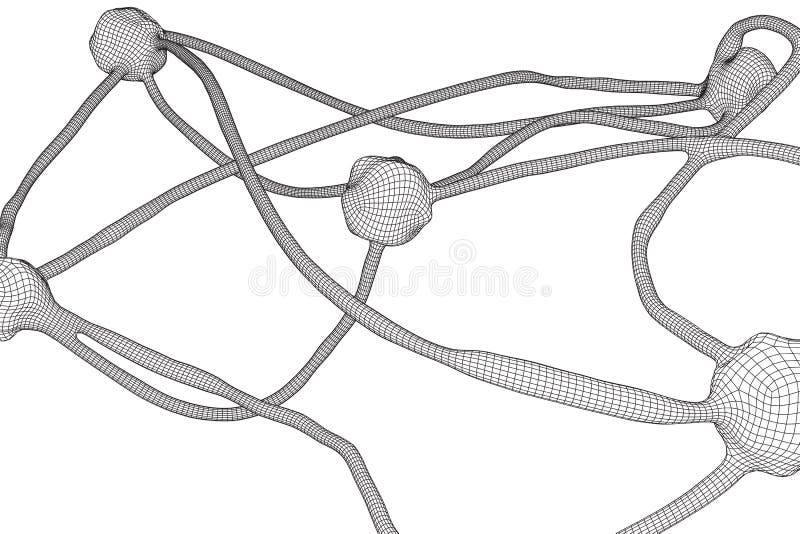 Neuron System Wireframe Mesh Model Stock Vector - Illustration of mesh ...