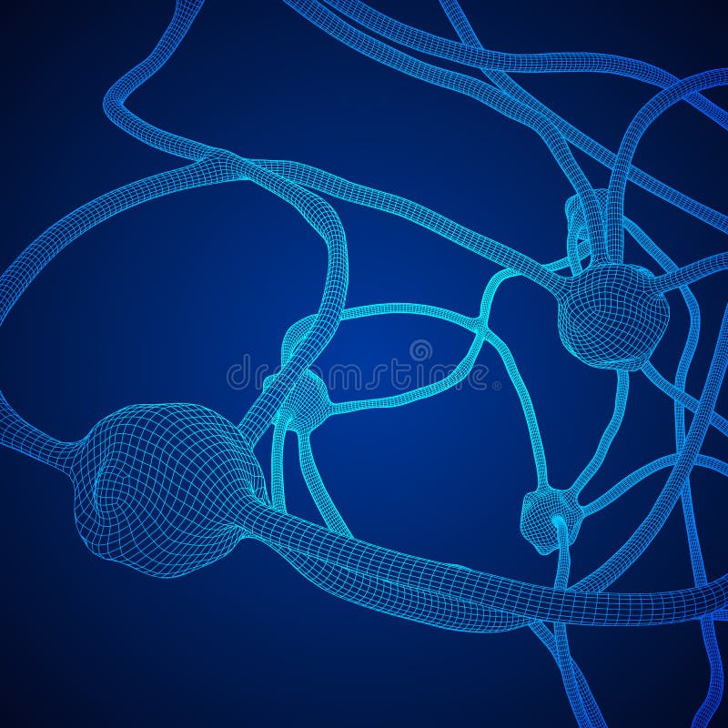 Neuron System Wireframe Mesh Model Stock Vector - Illustration of ...