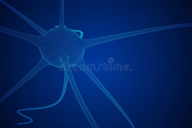Neuron System Wireframe Mesh Model. Stock Vector - Illustration of ...