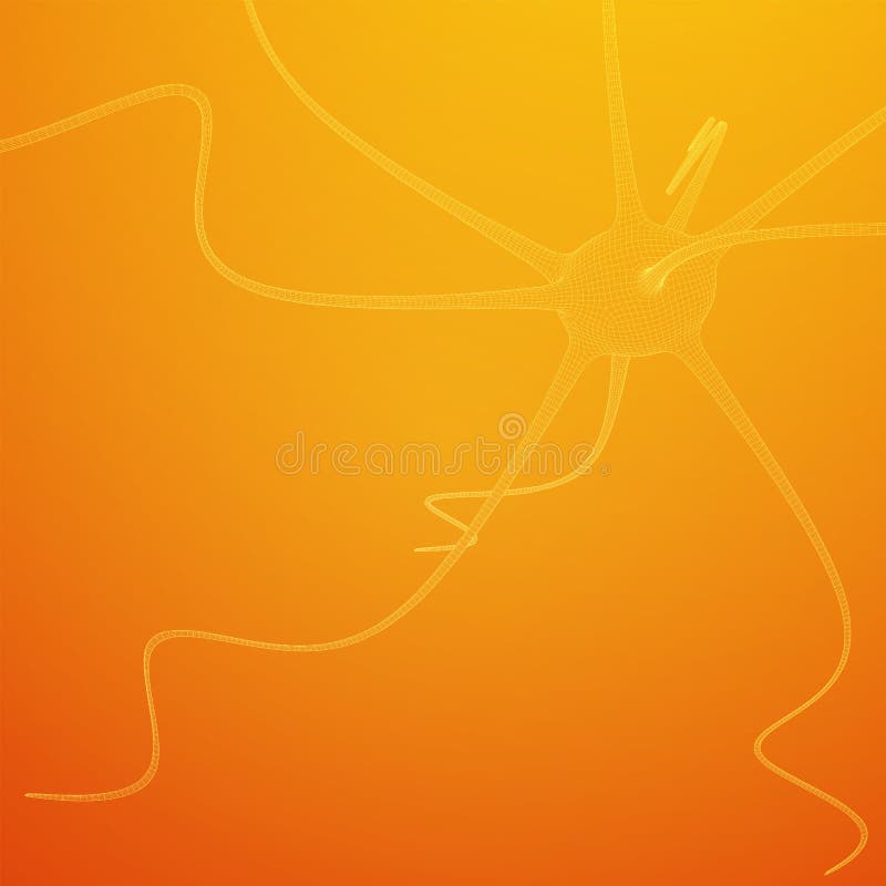 Neuron System Wireframe Mesh Model. Stock Vector - Illustration of poly ...