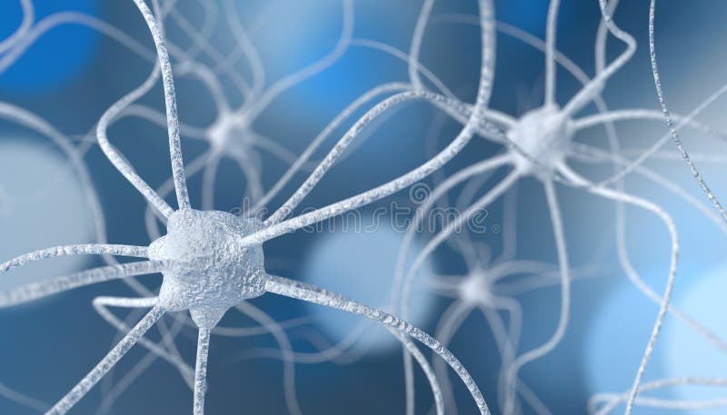 Neurona, Red Neuronal, Nodo Del Nervio, Stock de ilustración ...