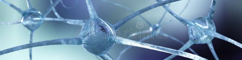 Neurona, Red Neuronal, Nodo Del Nervio, Stock de ilustración ...