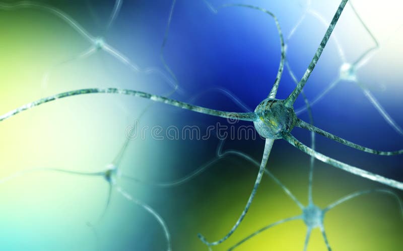 Neurona, Red Neuronal, Nodo Del Nervio, Stock de ilustración ...