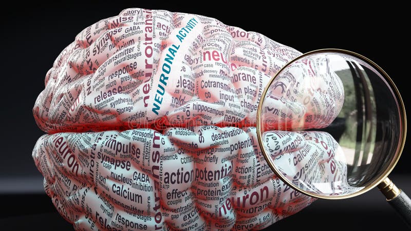 Neuronal Activity in Human Brain Stock Illustration - Illustration of ...