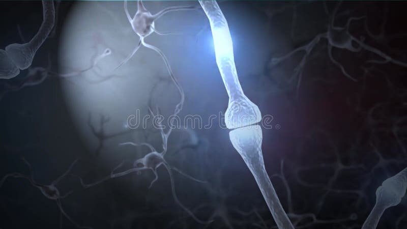 Neuronal and Synapse Activity Animation. Electrical Impulses Inside the ...