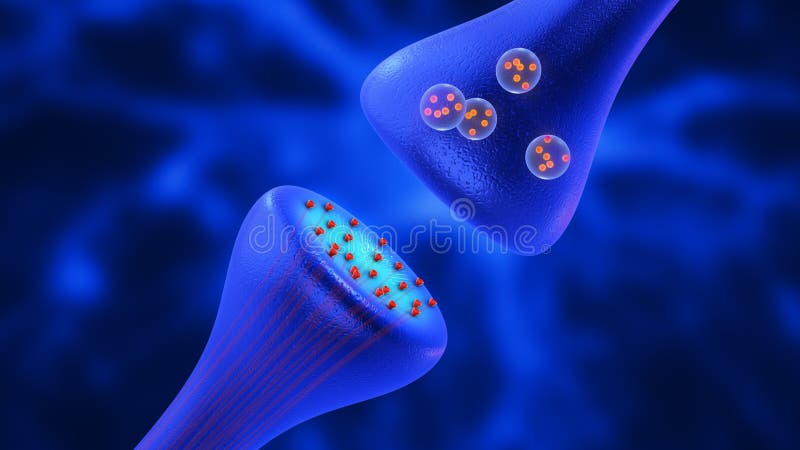 Neuronal and Synapse Activity Animation Stock Illustration ...