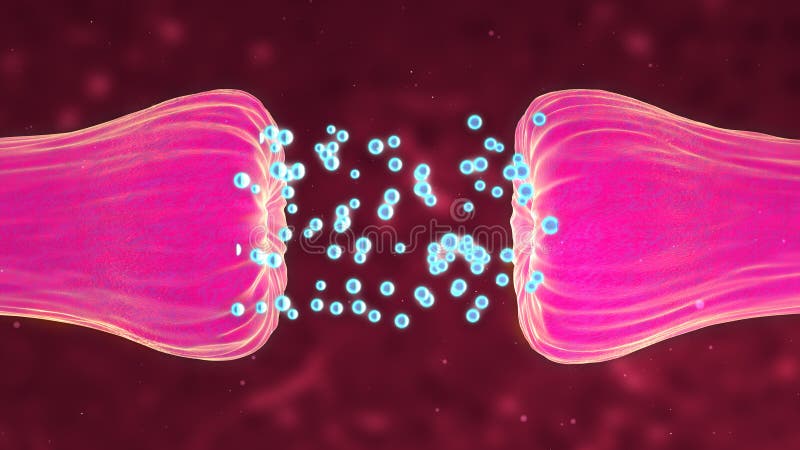 Neuronal and Synapse Activity Animation Showing Chemical Messengers or ...