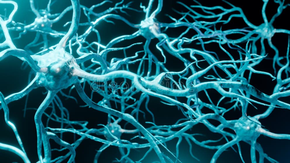 Neuronal and Synapse Activity 3d Render. Active Neuron, Neuroactivity ...