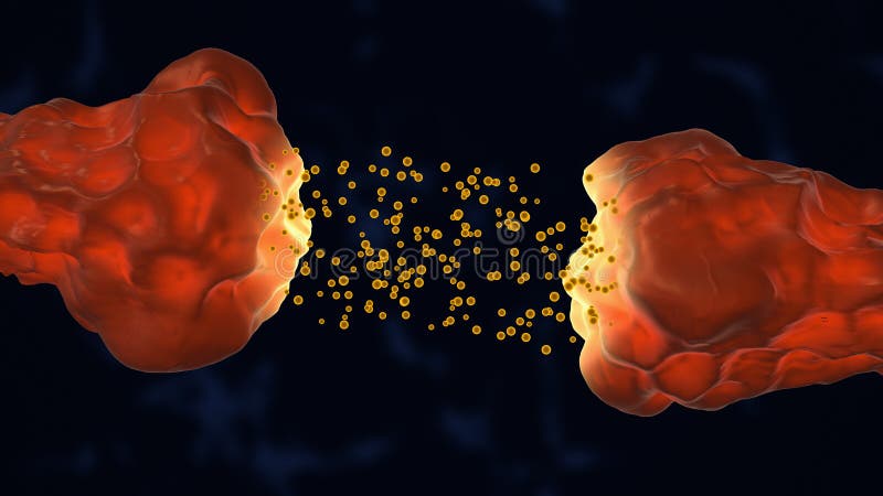 Neuronal and Synaptic Activity Medical Animation Stock Illustration ...