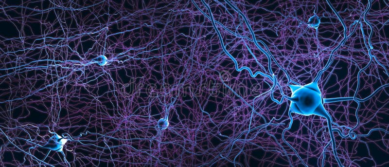Neuronas Conectadas O Células Nerviosas Stock de ilustración ...