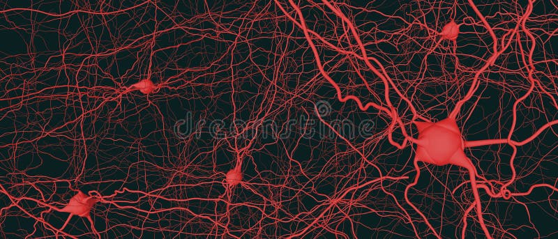 Neuronas Conectadas O Células Nerviosas Stock de ilustración ...